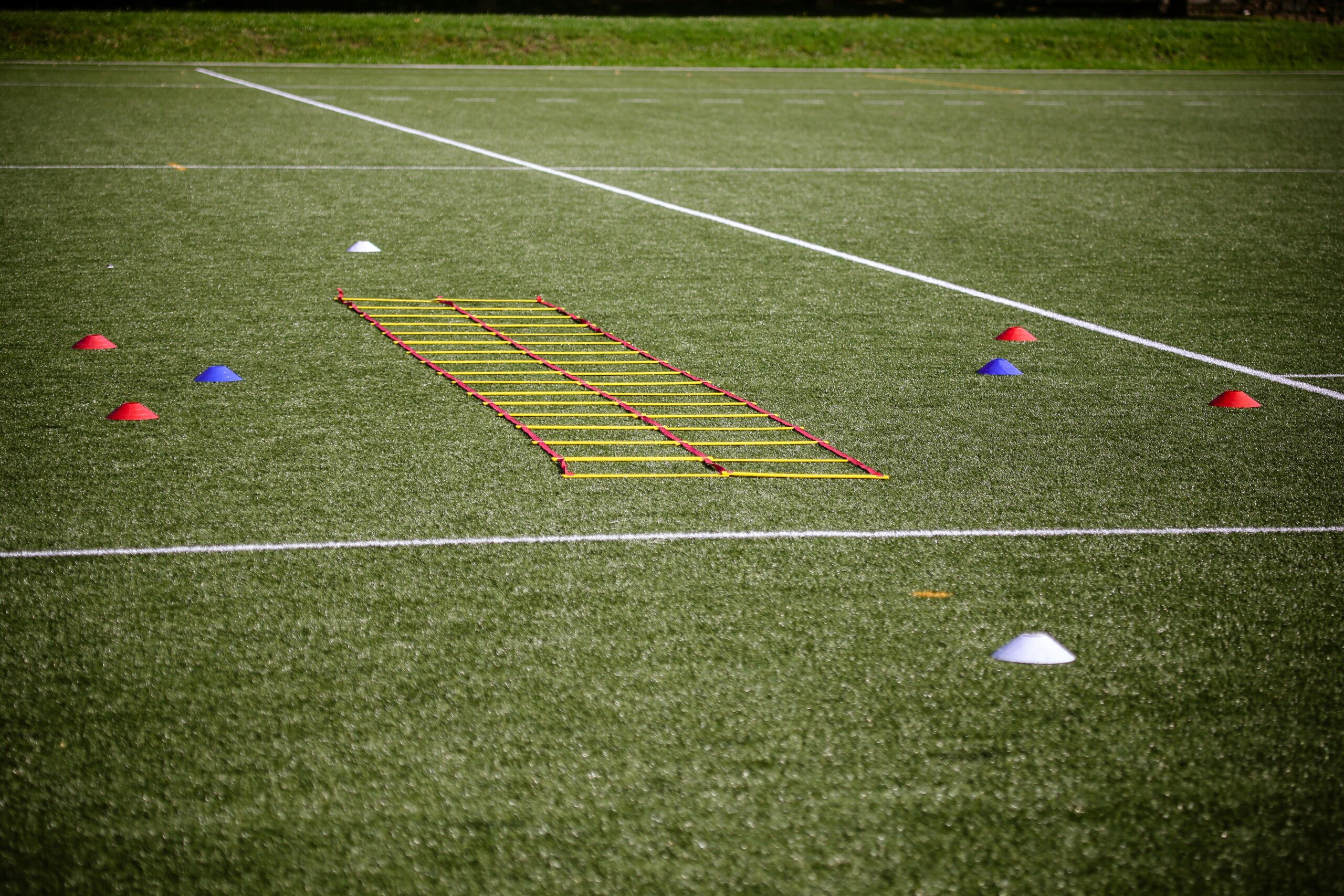 Speed & Agility Drills for Goalkeepers: React Faster, Move Smarter ...